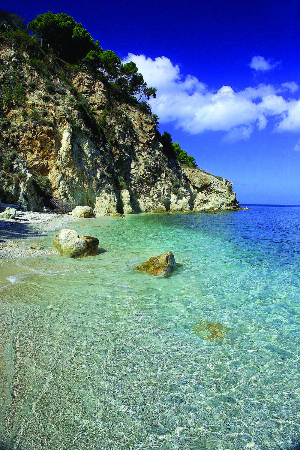 Springtime on Elba - Italy Travel and Life