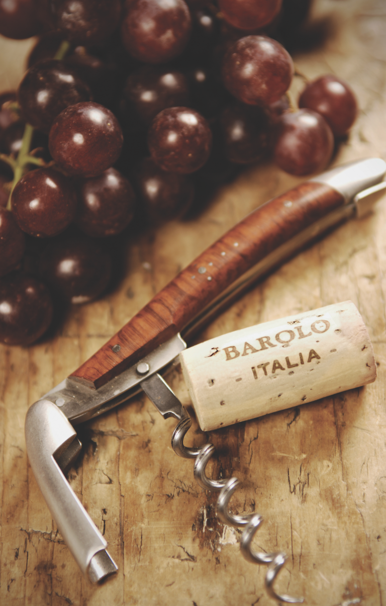 Barolo Wine - Italia! Icons - Italy Travel and Life