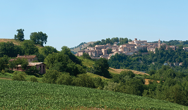 Homes in: Le Marche