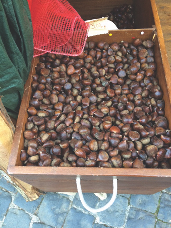 Chestnuts roasting... - Italy Travel and Life