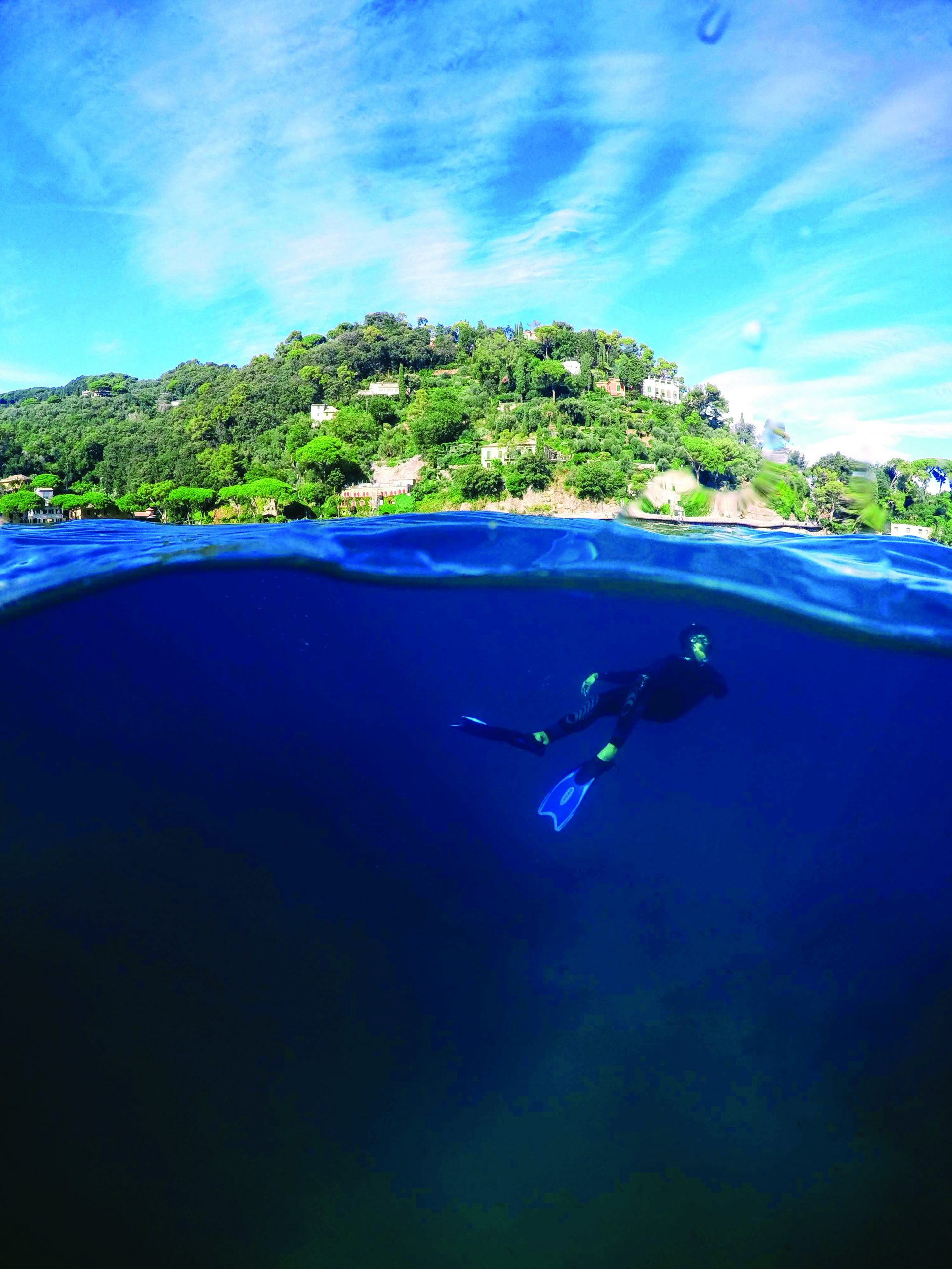 Top 10 guide to the best of Italy's coastal wildlife - Italy Travel and ...