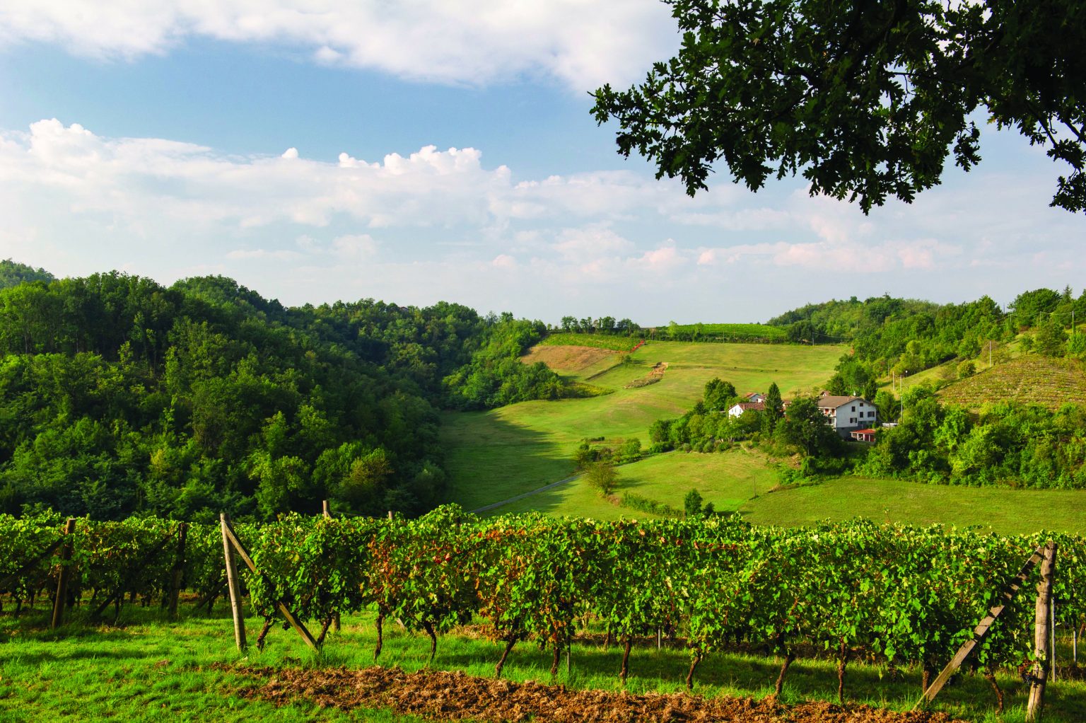 The top 10 reasons you should visit Gavi - Italy Travel and Life