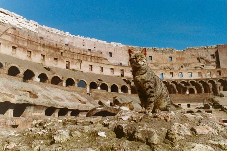 Suburban Rome travel guide - Italy Travel and Life