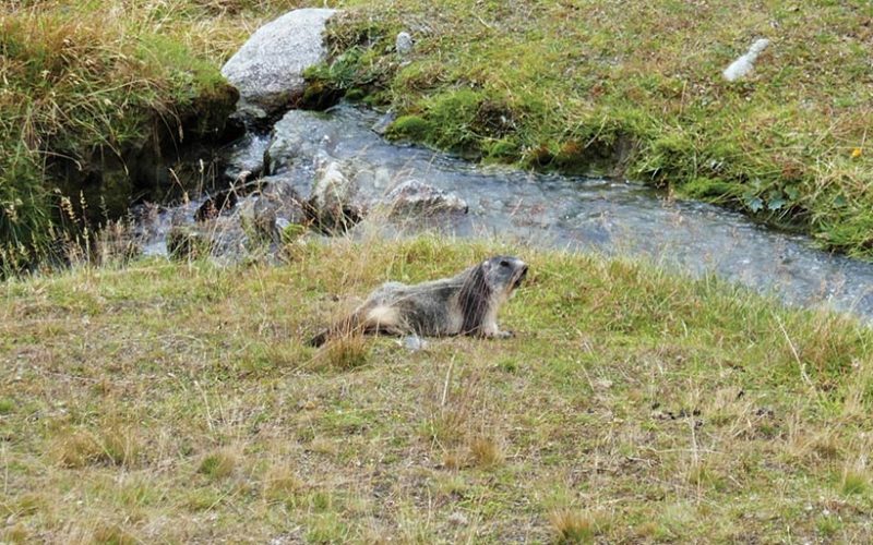 Exploring the Gran Paradiso National Park in Aosta - Italy Travel and Life