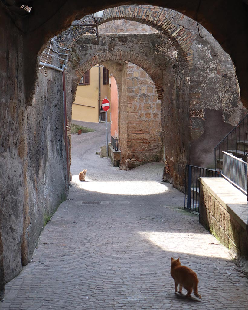 Day trips from Rome: 12 top locations to visit in Lazio - Italy Travel ...