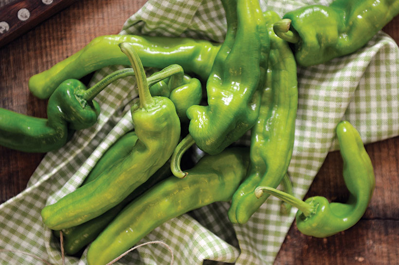 Stuffed friarielli peppers recipe